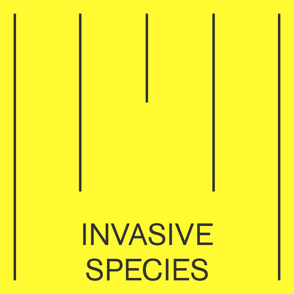 The Altered Environment at the North Carolina Museum of Art - Burnaway