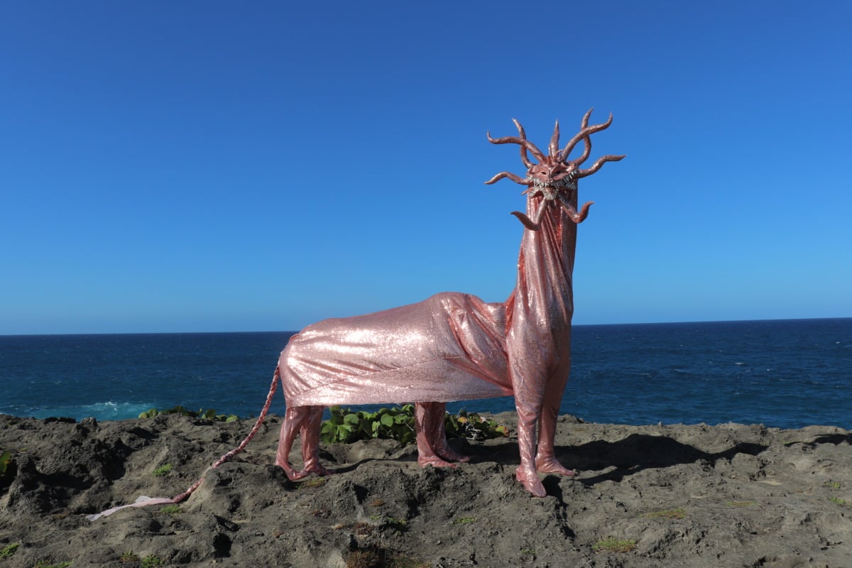 Luis Sanabria and Puerto Rico’s Queer Ecologies - Burnaway